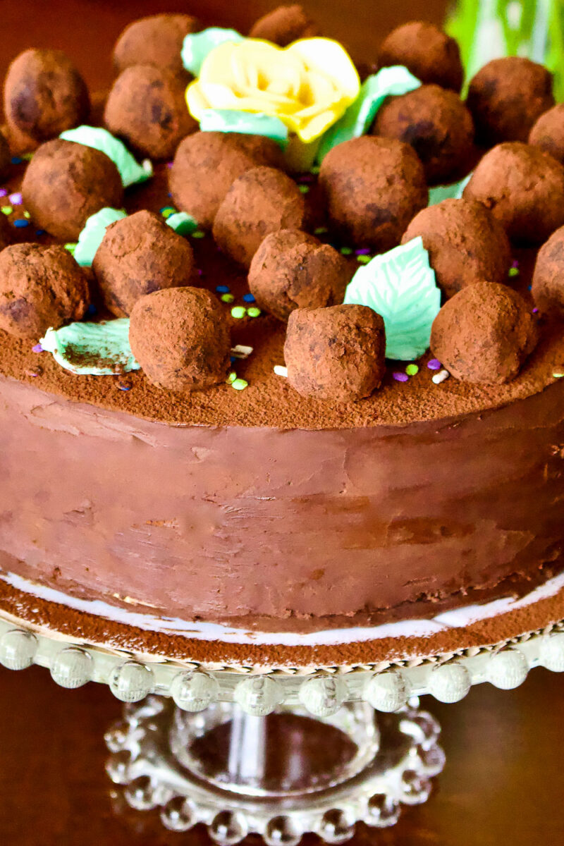 Chocolate Mint Cake Recipe- The Bossy Kitchen