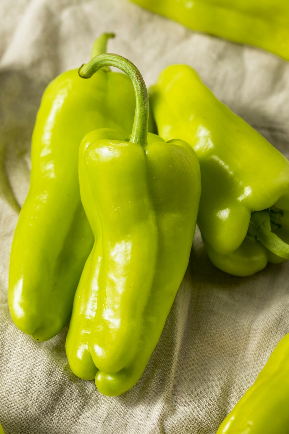 Romanian Stuffed Peppers(With Instant Pot Instructions) – The Bossy Kitchen