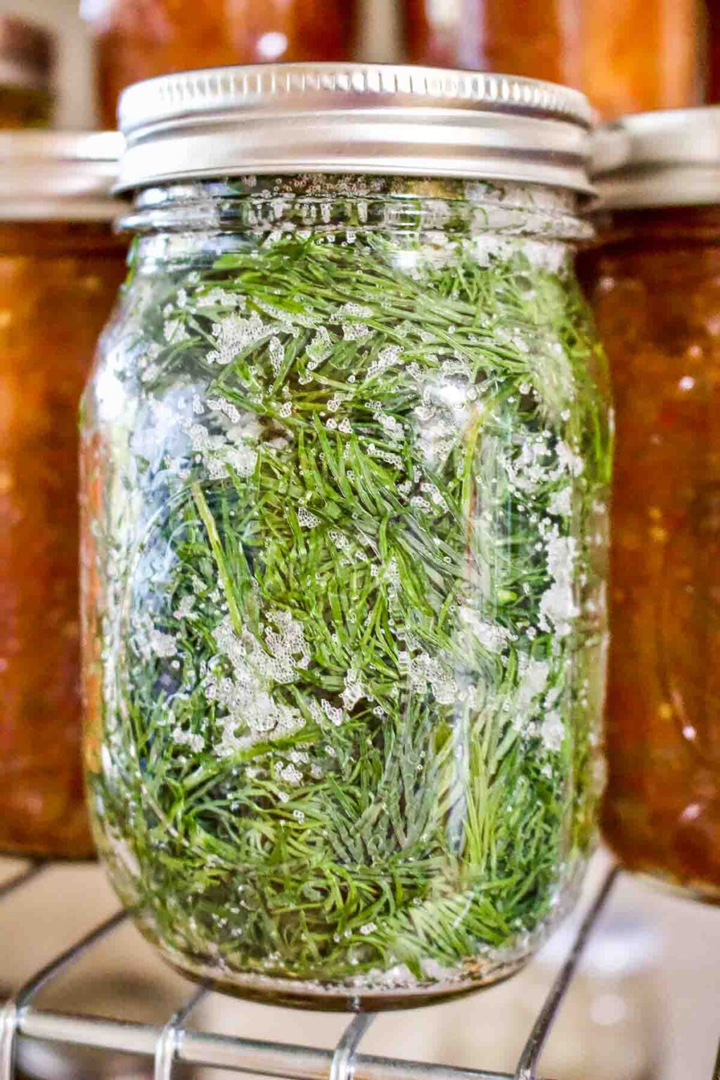 How To Salt Preserve Herbs For Winter – The Bossy Kitchen
