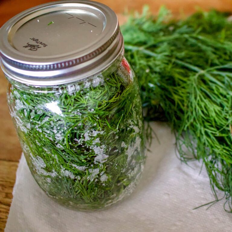 How To Salt Preserve Herbs For Winter – The Bossy Kitchen