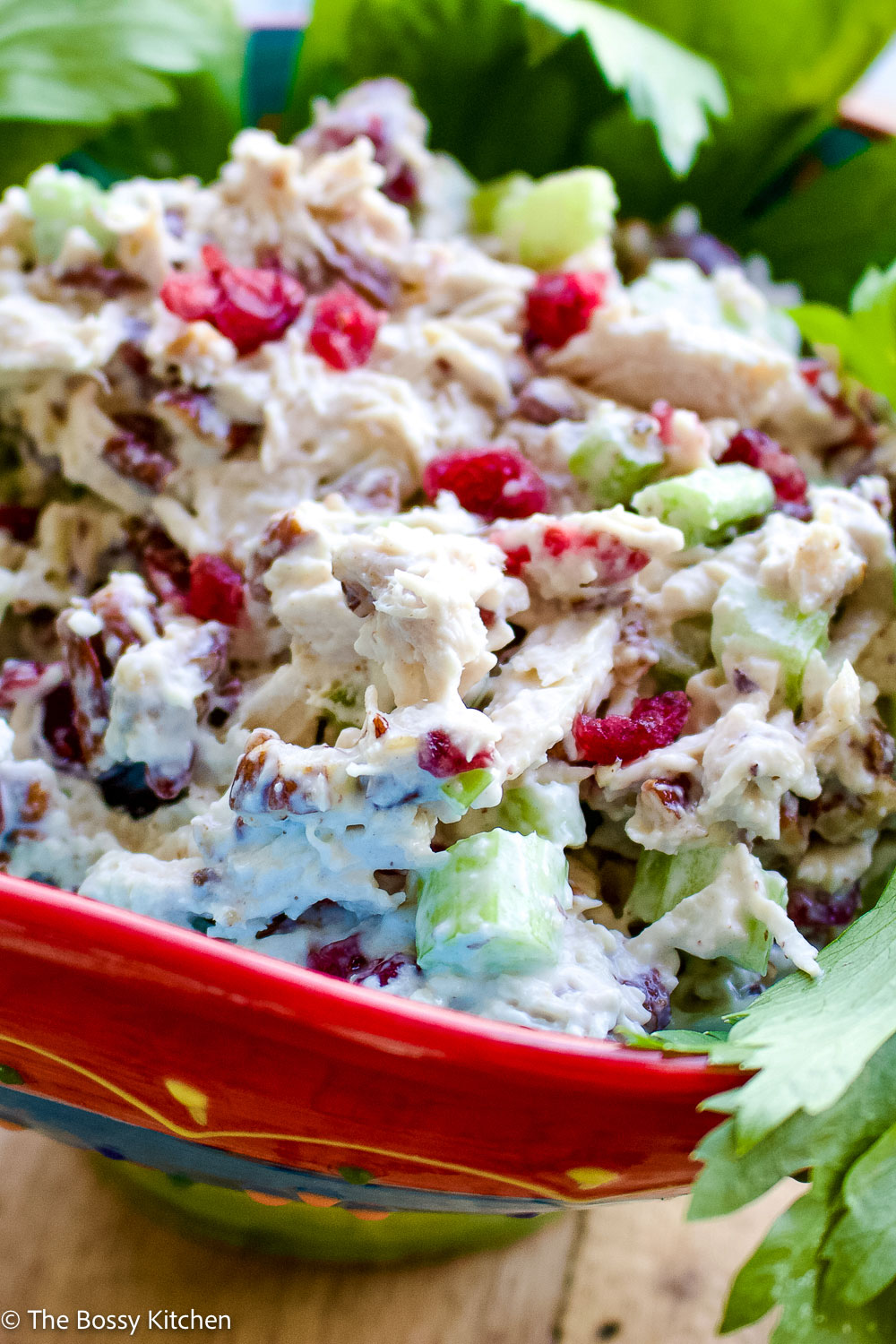 Cranberry Pecan Chicken Salad – The Bossy Kitchen