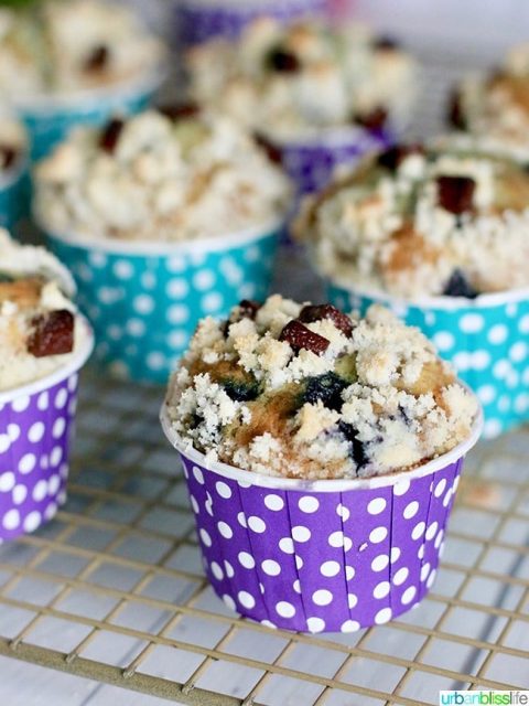 Chocolate Chip Desserts That Are Not Cookies – The Bossy Kitchen