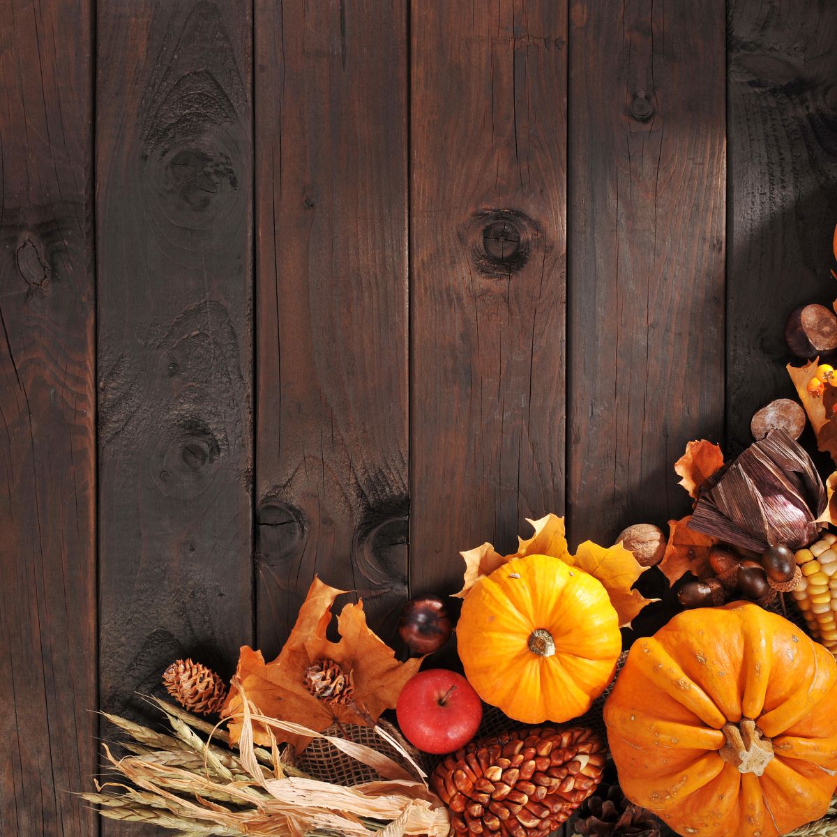 30 Cooking and Baking Tools For The Holidays – The Bossy Kitchen