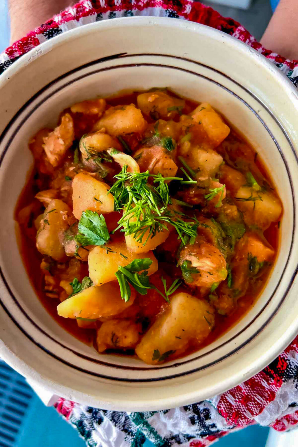 Hearty Potato Stew Recipe With Chicken – The Bossy Kitchen