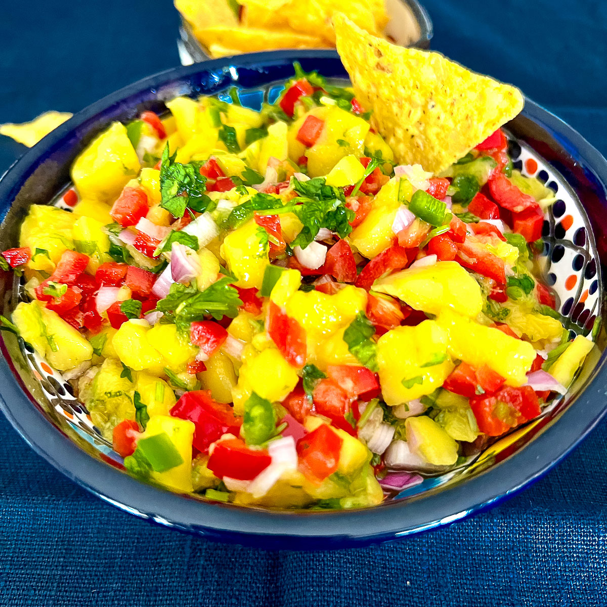 Easy Mango Salsa Recipe (Great For Fish Tacos) – The Bossy Kitchen