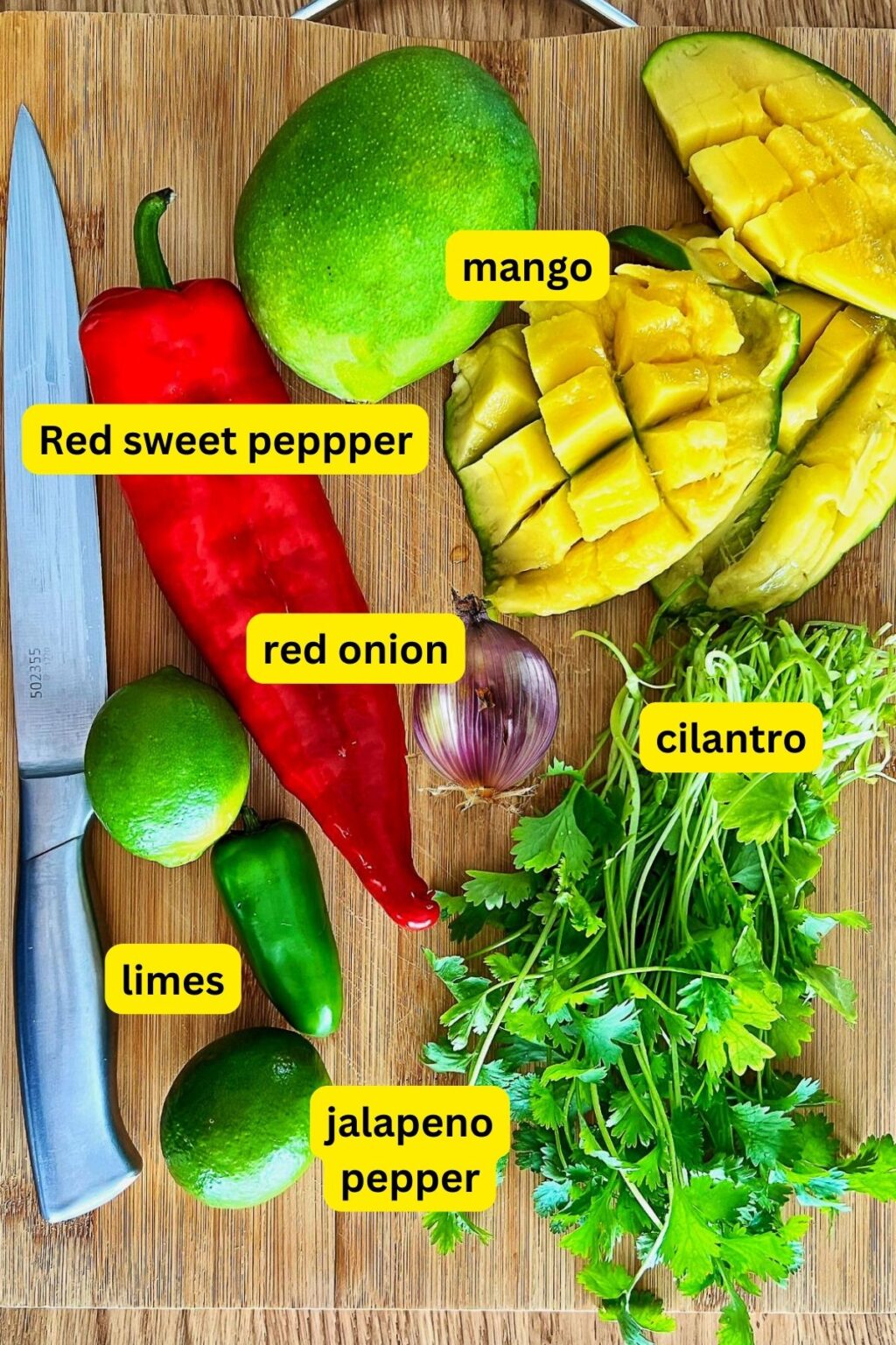 Easy Mango Salsa Recipe – The Bossy Kitchen