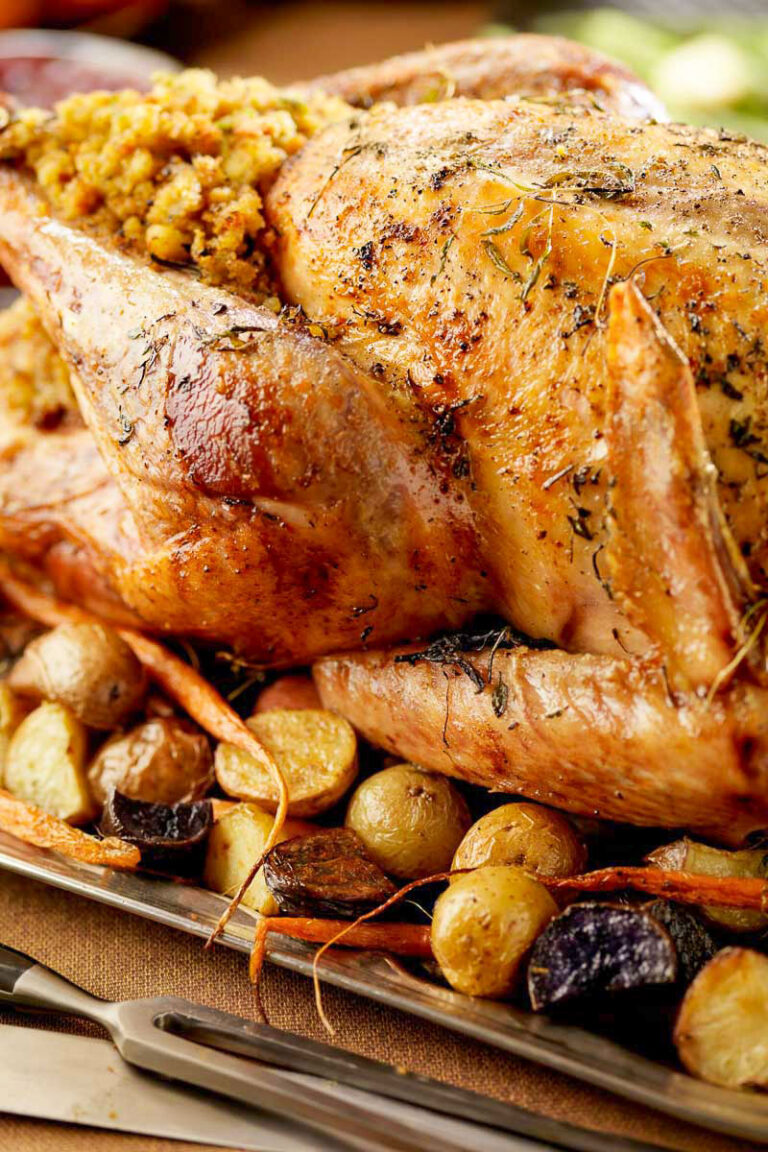 Cold Turkey: Freezing Your Way Through Thanksgiving Leftovers – The ...